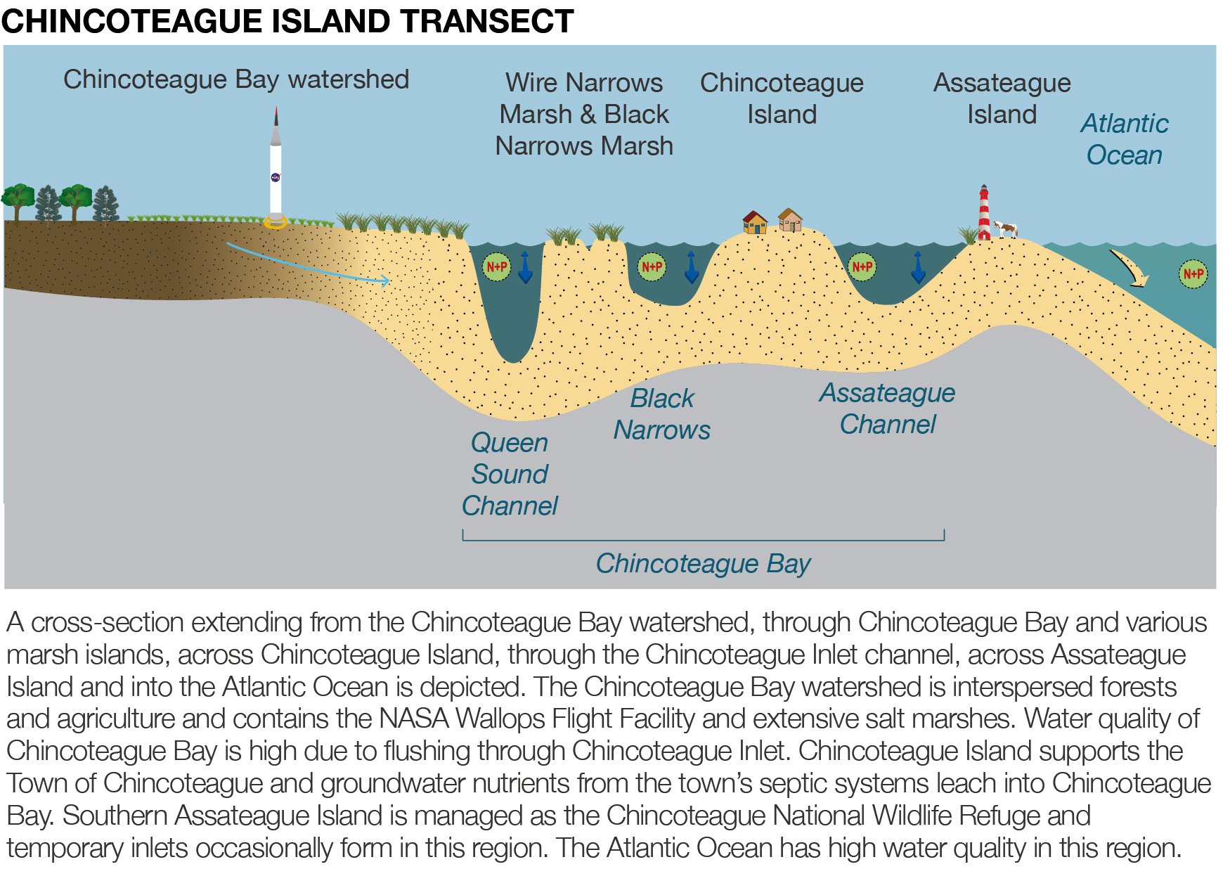 How to create conceptual cross-section diagrams | University of ...