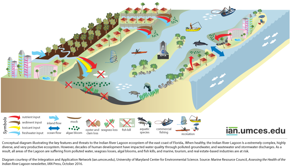 Conceptual diagram of the key features of and threats to the Indian ...