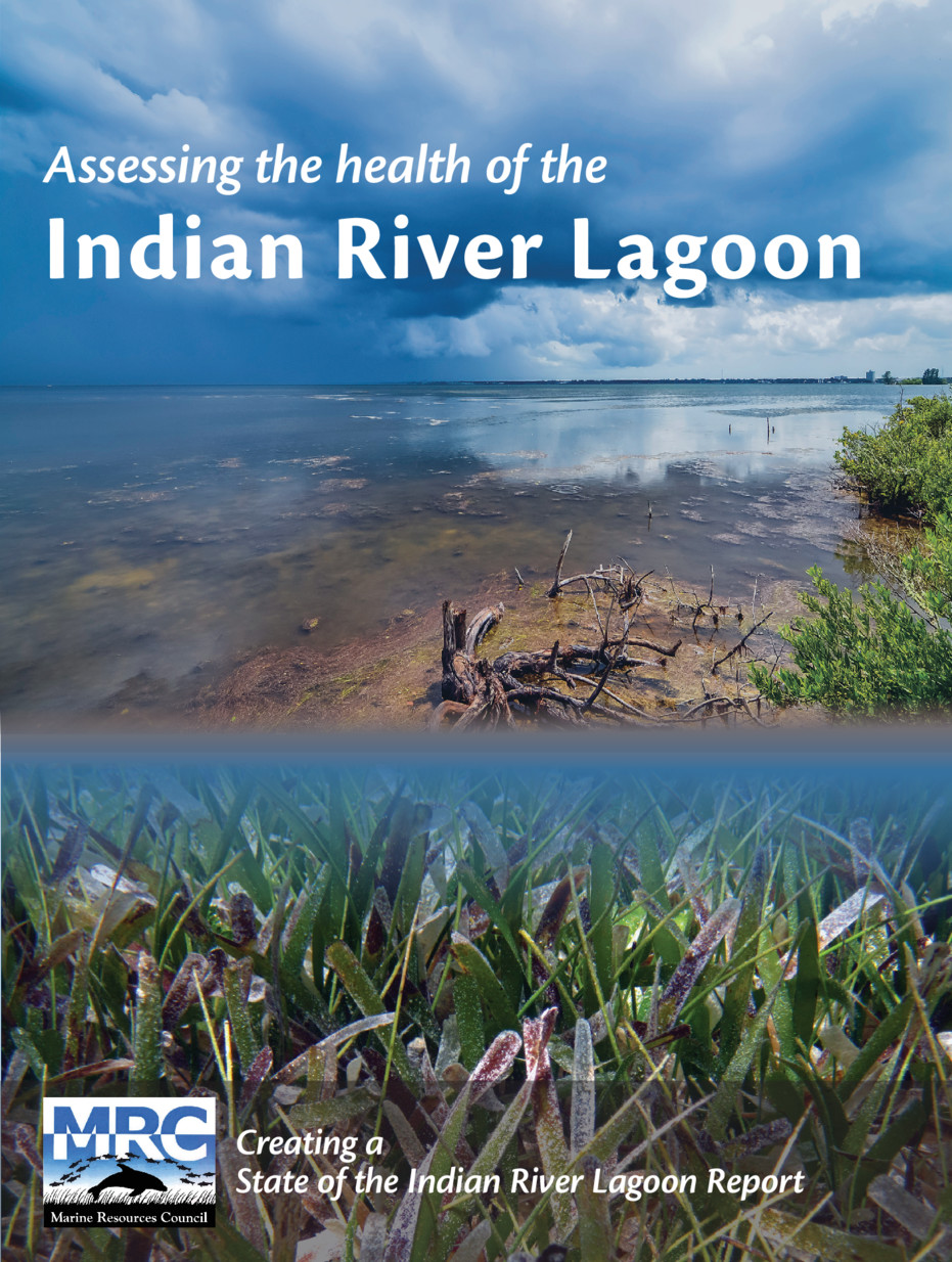 Assessing the health of the Indian River Lagoon | University of ...
