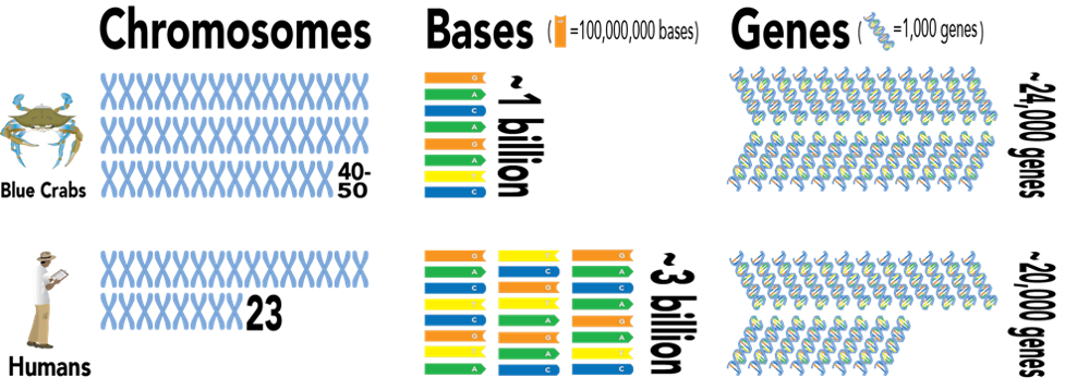 BCGI results (2).png | University of Maryland Center for Environmental ...