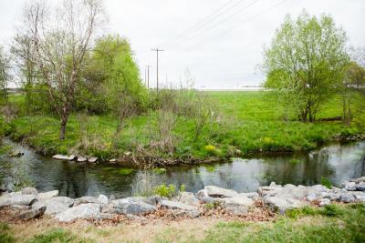 Study looks at best way to bring healthy streams back after development ...