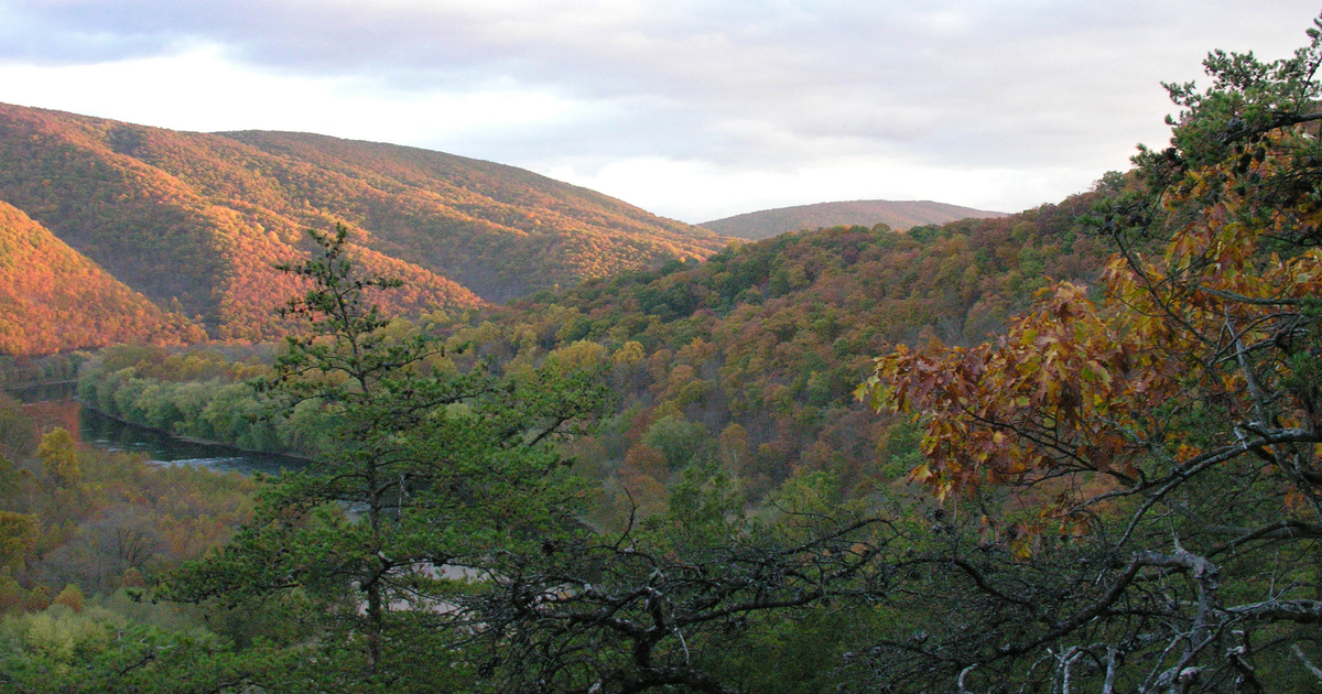 Central Appalachians Stable Isotope Facility | University of Maryland ...
