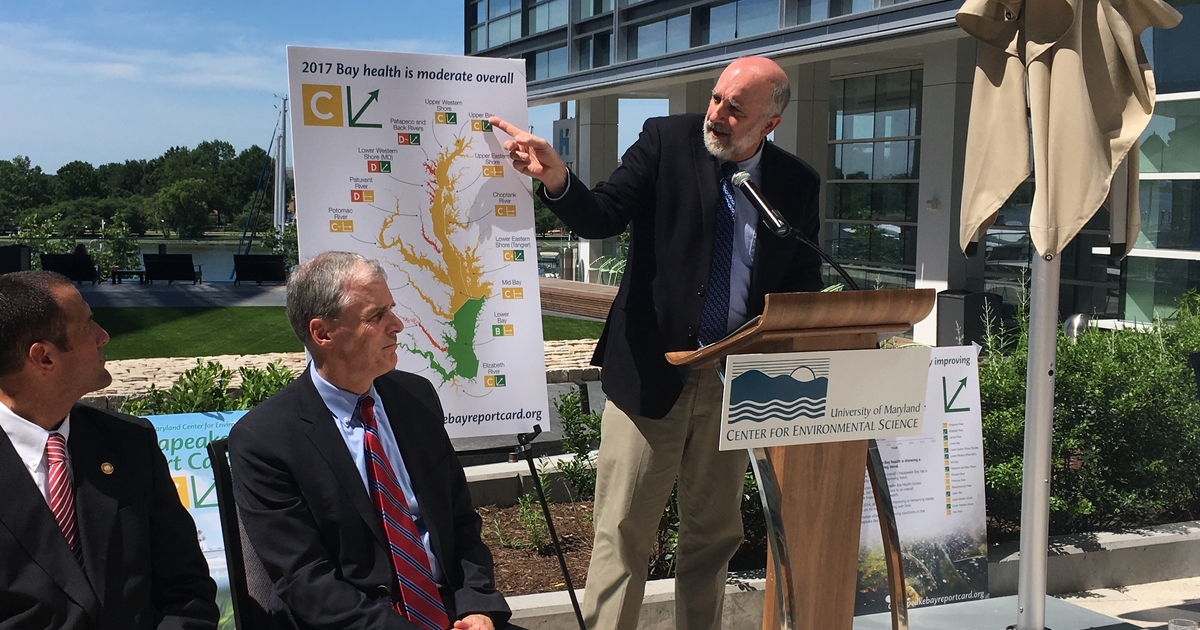 UMCES launches first professional certificate program in Environmental ...