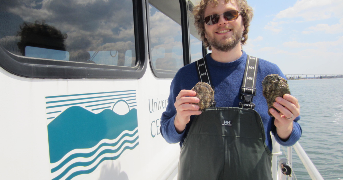 Mike Wilberg earns award for science and communication on oyster ...