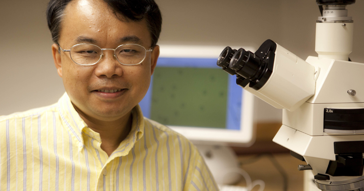 Feng Chen | University of Maryland Center for Environmental Science