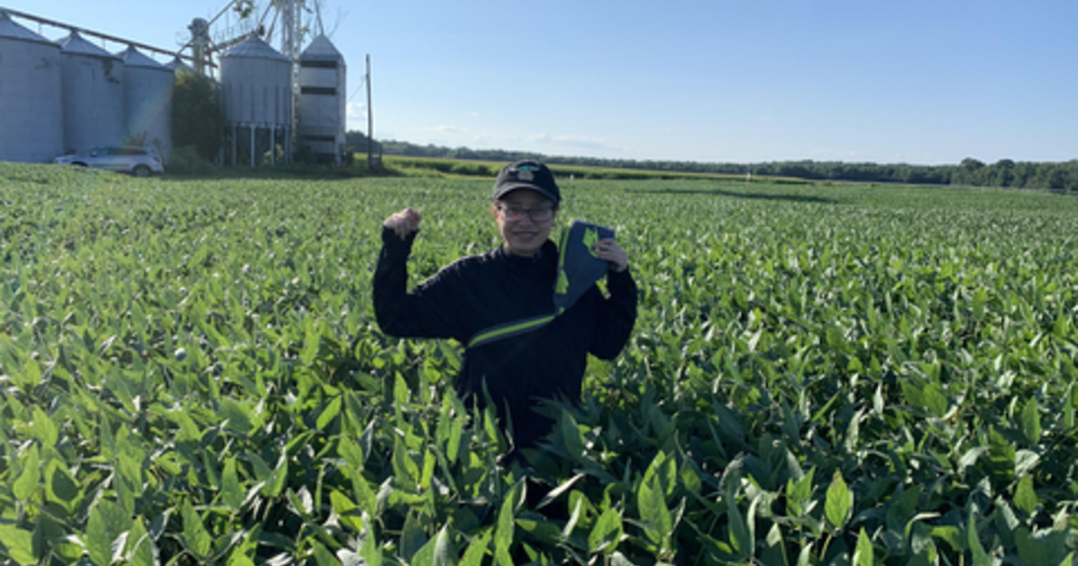 First-of-its-kind database tracks agricultural phosphorus use world ...