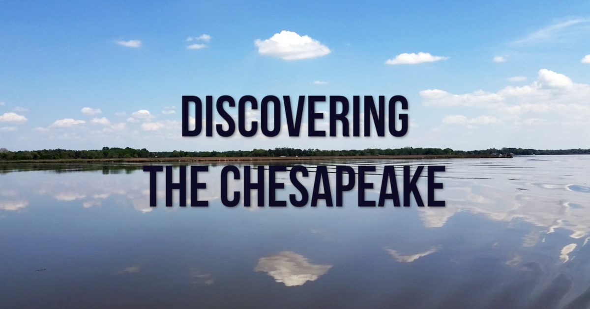 “Discovering the Chesapeake” YouTube series featuring Bay scientists ...