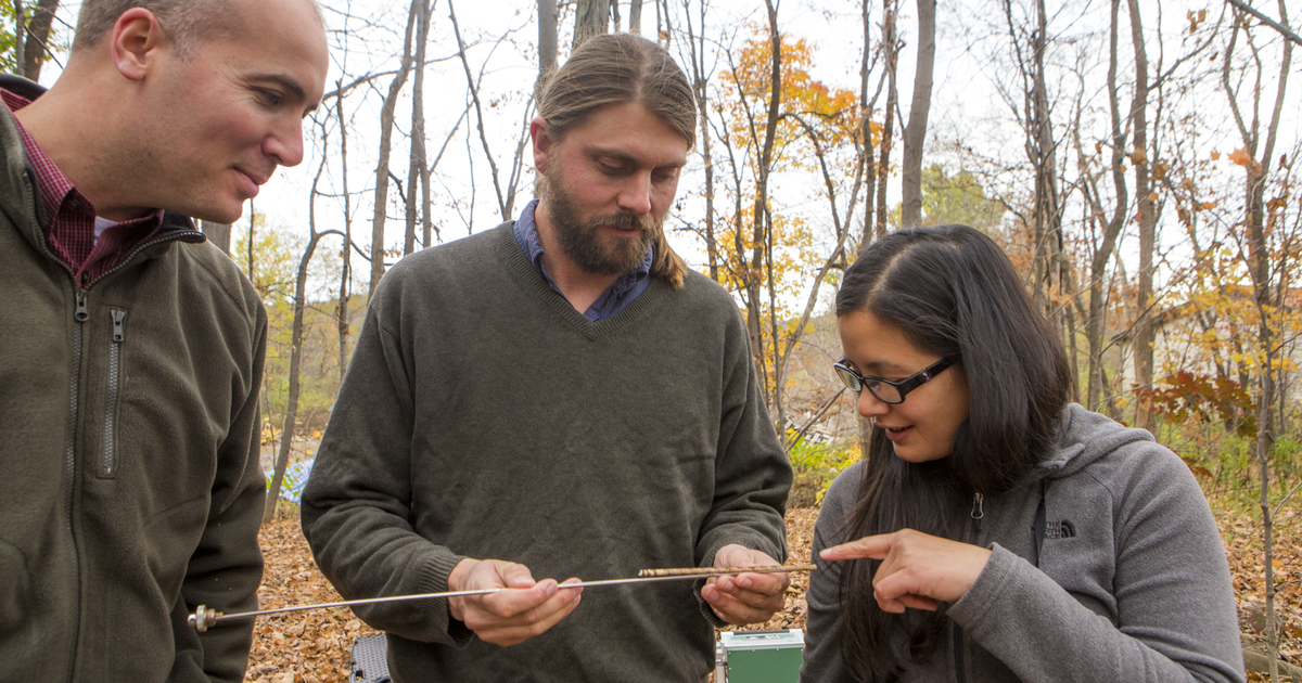 Appalachian Laboratory researchers investigate climate changes in forests
