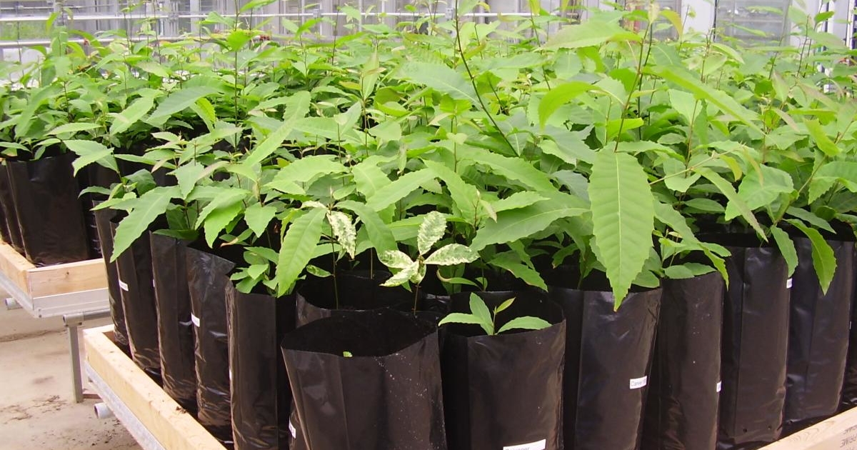 Appalachian Laboratory seeks Marylanders to participate in American ...