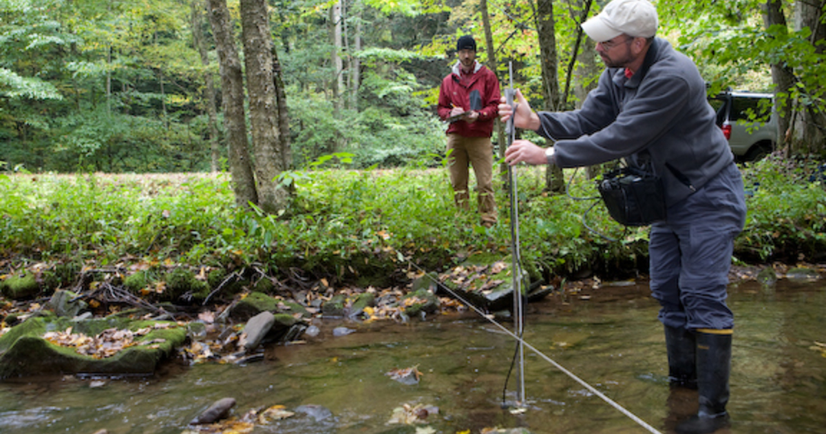 Appalachian Laboratory scientists receive highest university award ...