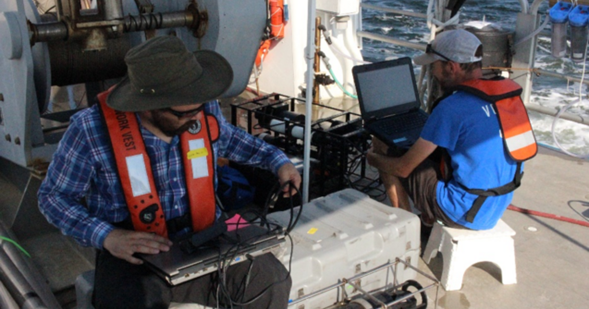 Chesapeake Bay's role in greenhouse gas release and capture ...