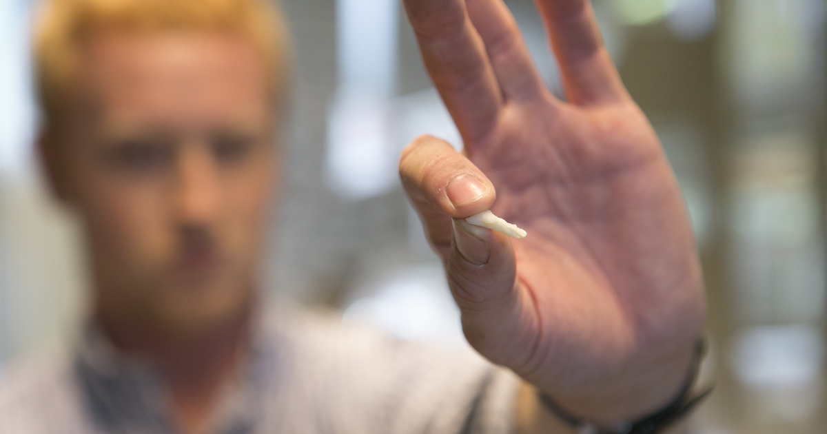 Review of how fish hear could lead to better understanding of how fish ...