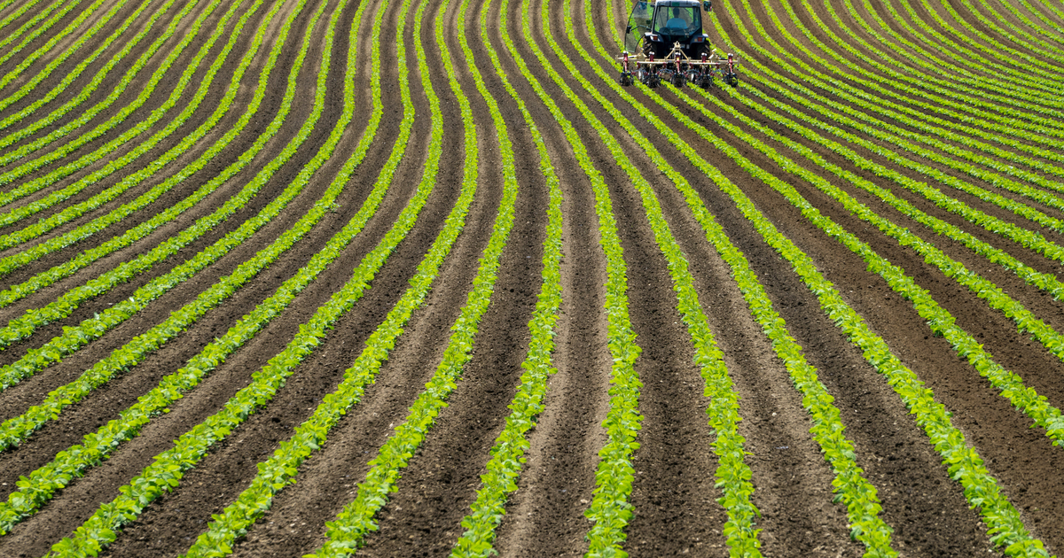 International effort to assess "green ammonia" impact on clean energy ...