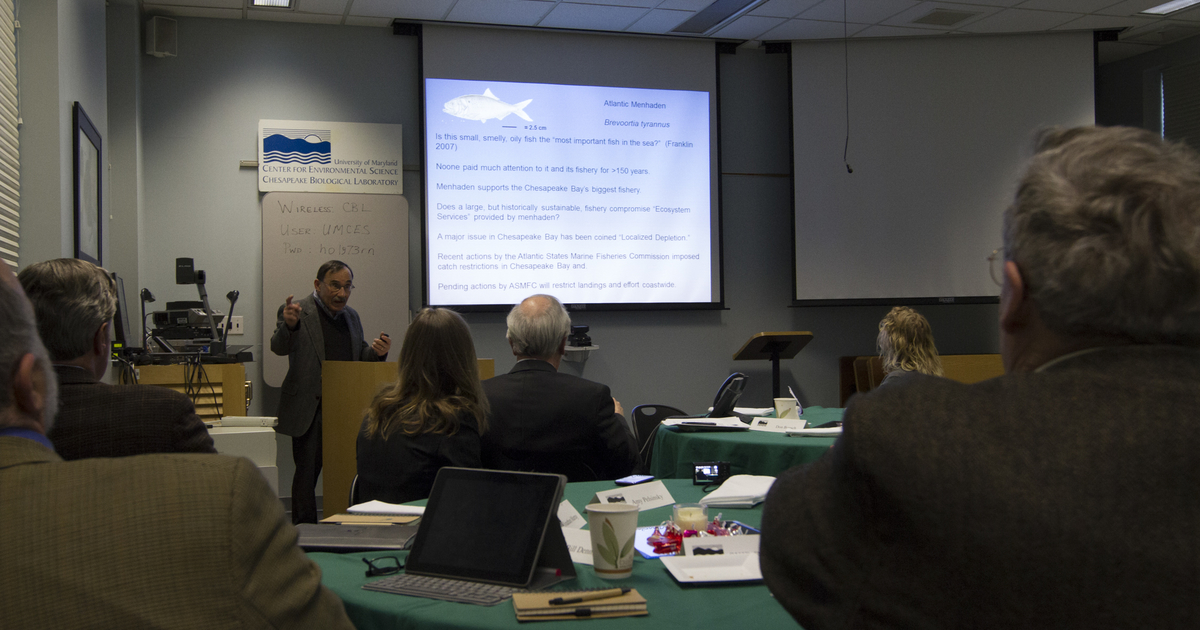 Distinguished Scholar Seminar Series | University of Maryland Center ...