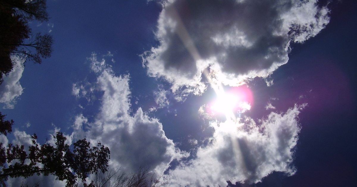 My UMCES | University of Maryland Center for Environmental Science