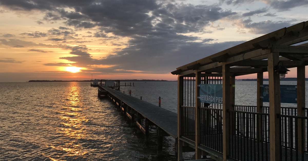 UMCES Staff Council | University of Maryland Center for Environmental ...