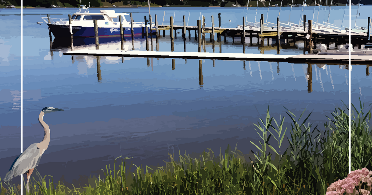 Chesapeake Bay Health Improves to C+ for the first time in over 20 ...