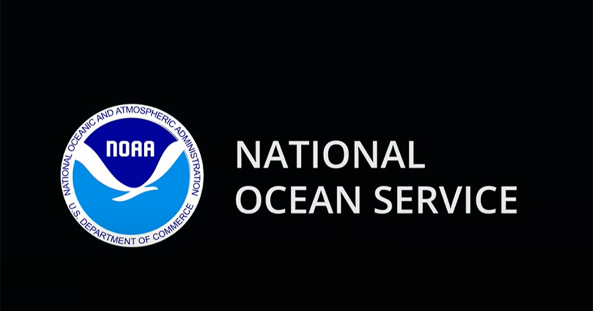 Three UMCES students are finalists for 2025 Knauss Policy Fellowship ...