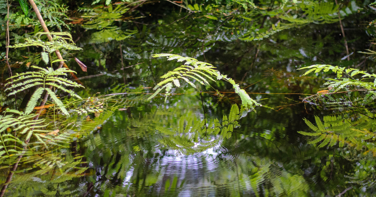 Researchers discover how biomolecules in nature are transformed into ...