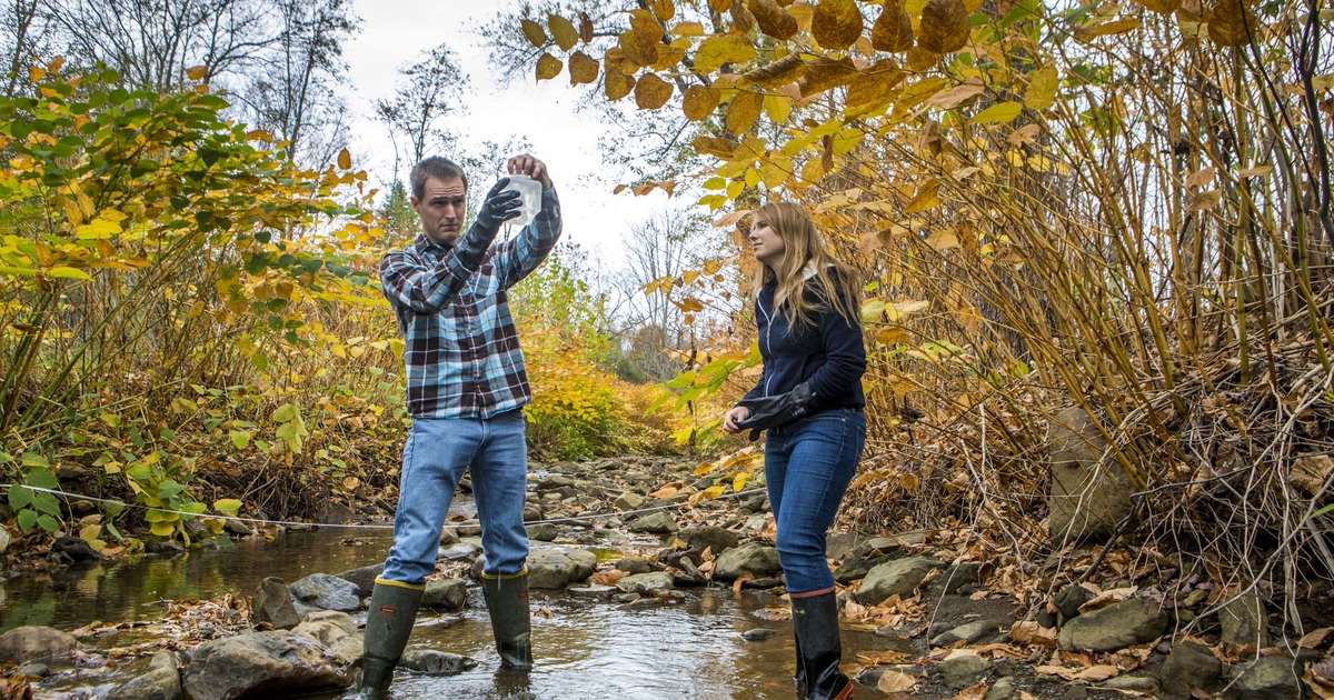 Applied Ecology & Conservation Biology | University of Maryland Center ...
