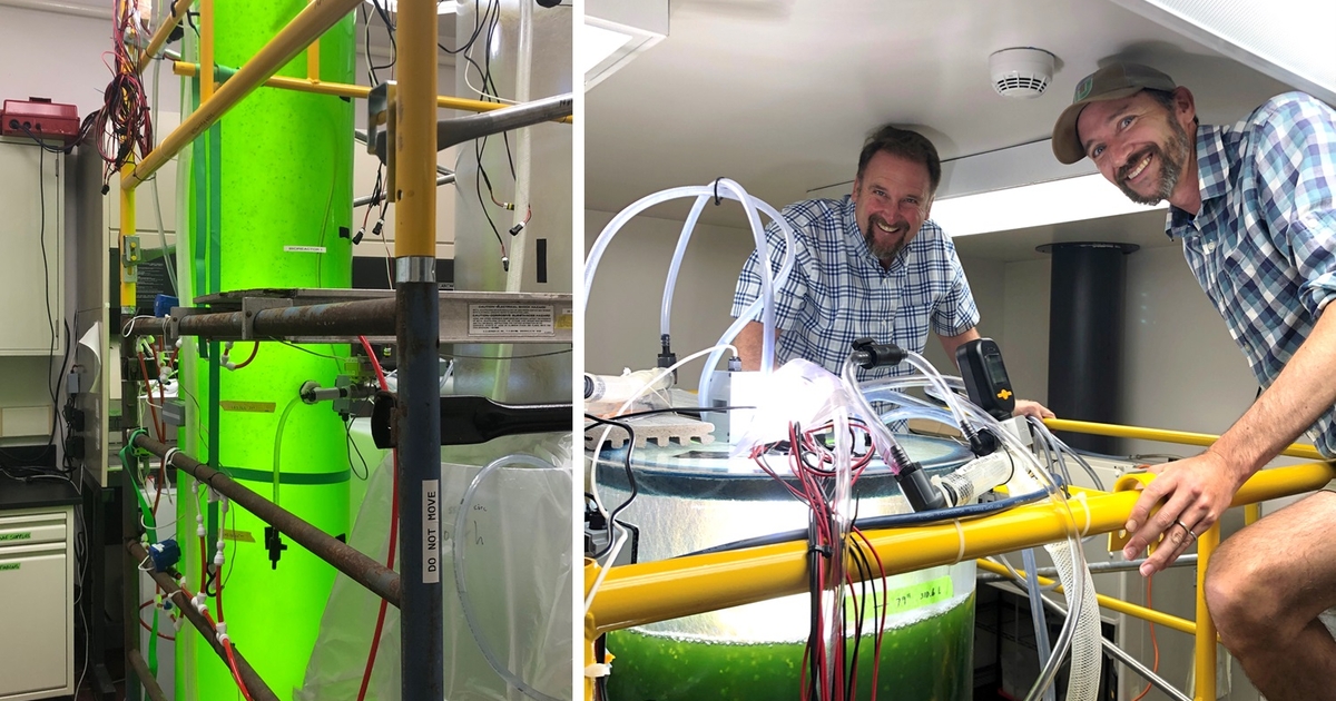 Novel biomanufacturing process will capture carbon and bolster human ...