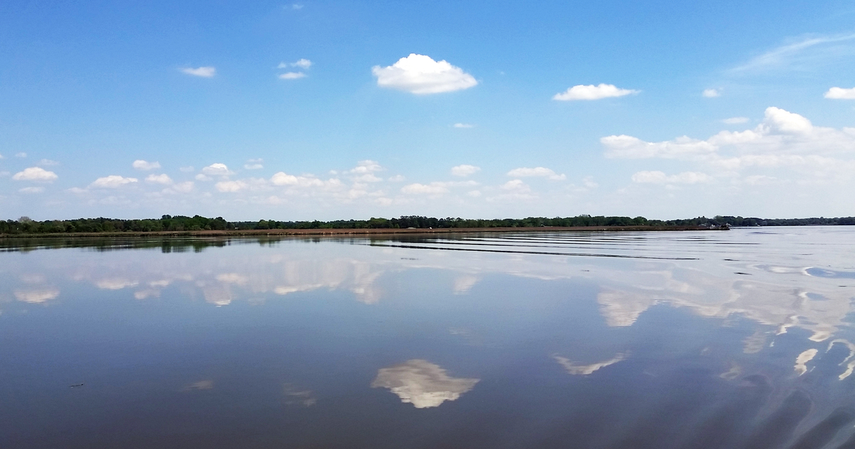 Study finds some water quality improvements in Choptank River ...