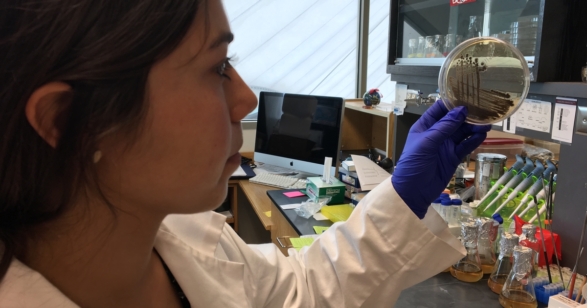 Next Generation: Daniela Tizabi | University of Maryland Center for ...