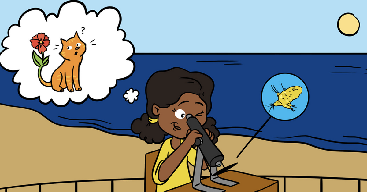 Professor Pat Glibert shares science with kids in 'Young Mind's journal ...