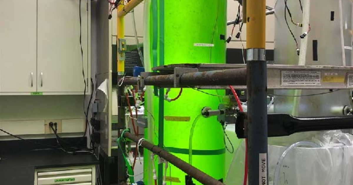 Novel biomanufacturing process will capture carbon and bolster human ...
