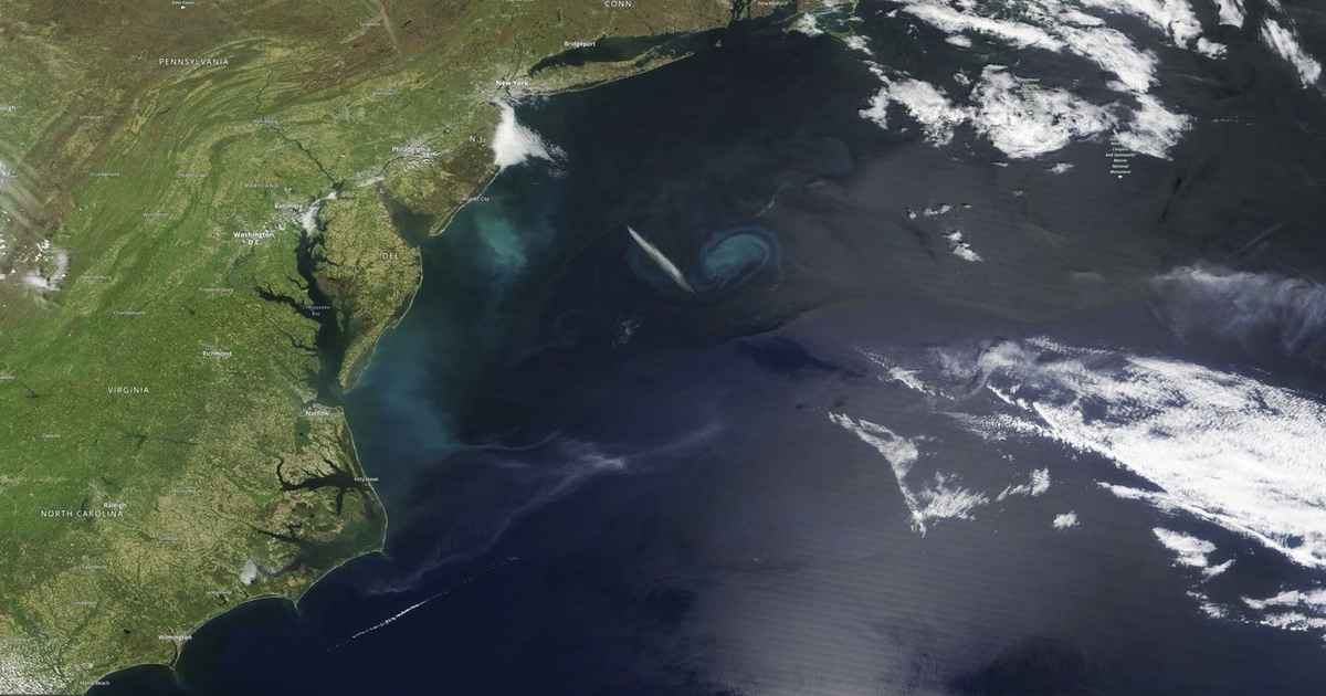 Globally diverse working group mobilizes to tackle increasing oceanic ...