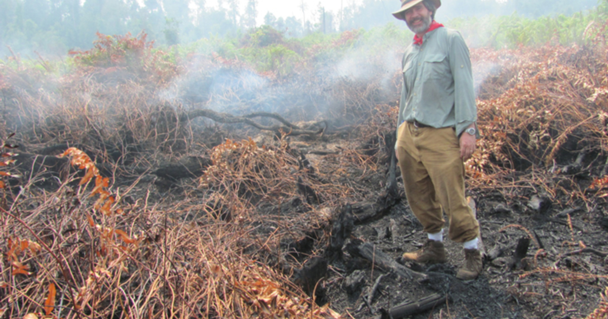 Bigger, stronger, disastrous: How climate change fuels wildfires ...