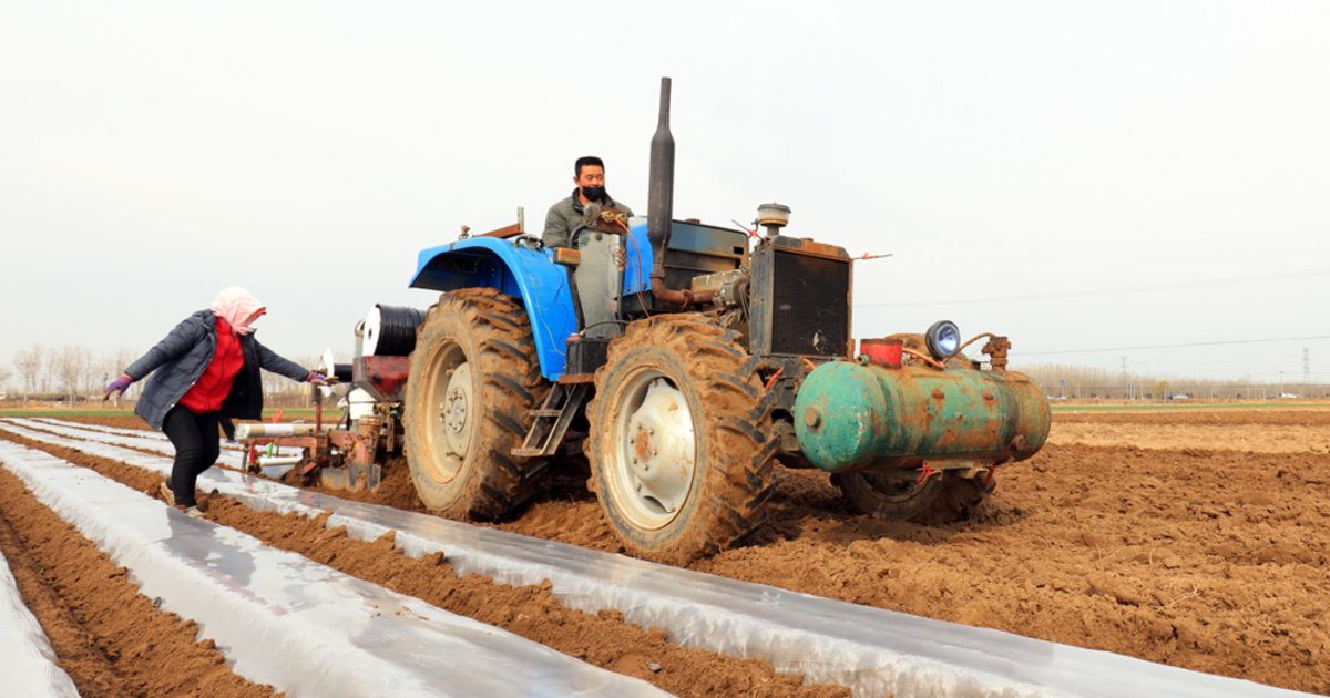 Study tackles new angle on crop trading in China | University of ...