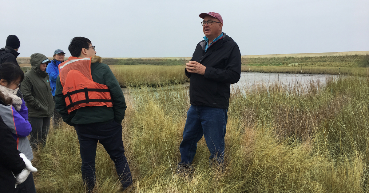 Poplar Island: A story of successful restoration | University of ...