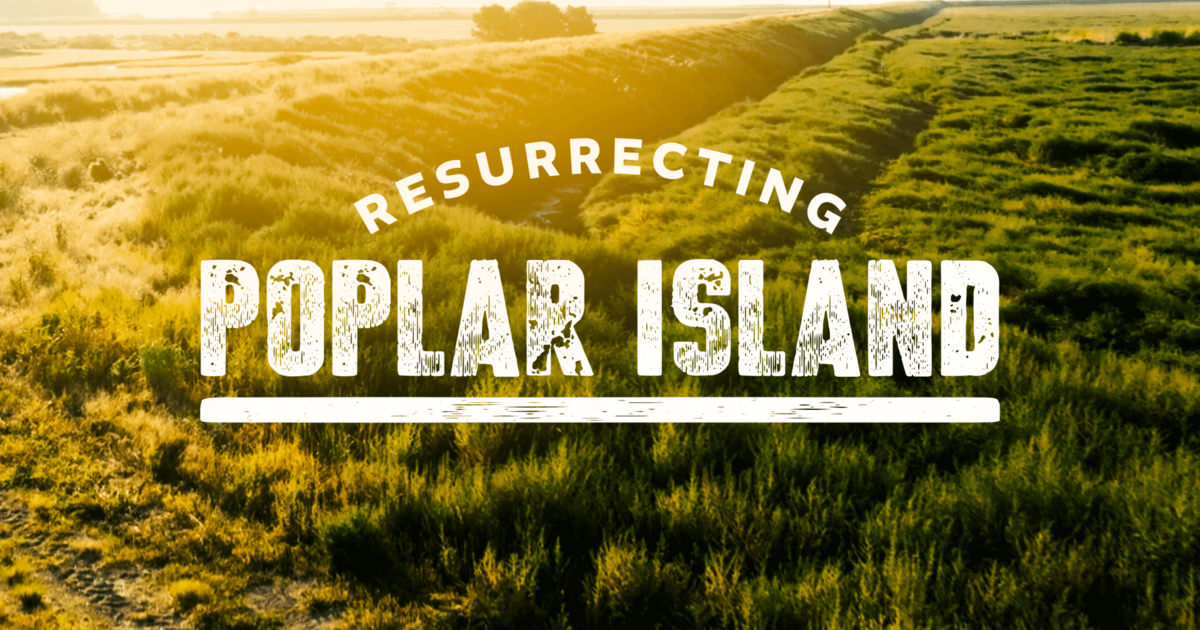 Resurrecting Poplar Island Screening | University of Maryland Center ...