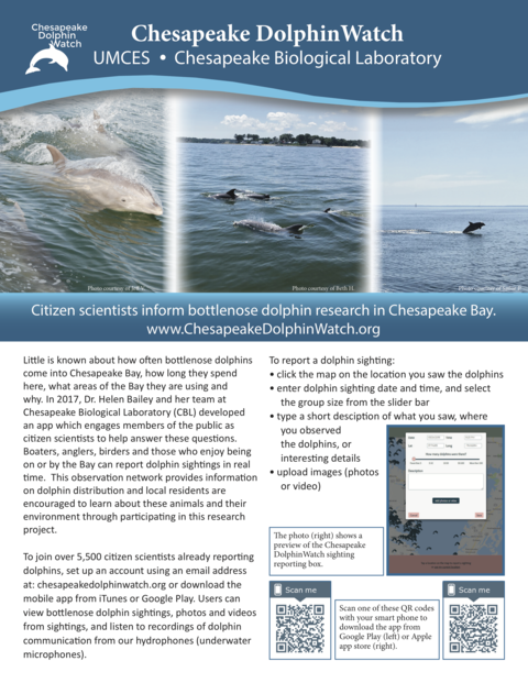 DolphinWatch | University of Maryland Center for Environmental Science