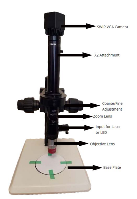 Horn Point scientists track how microplastics move through the ...