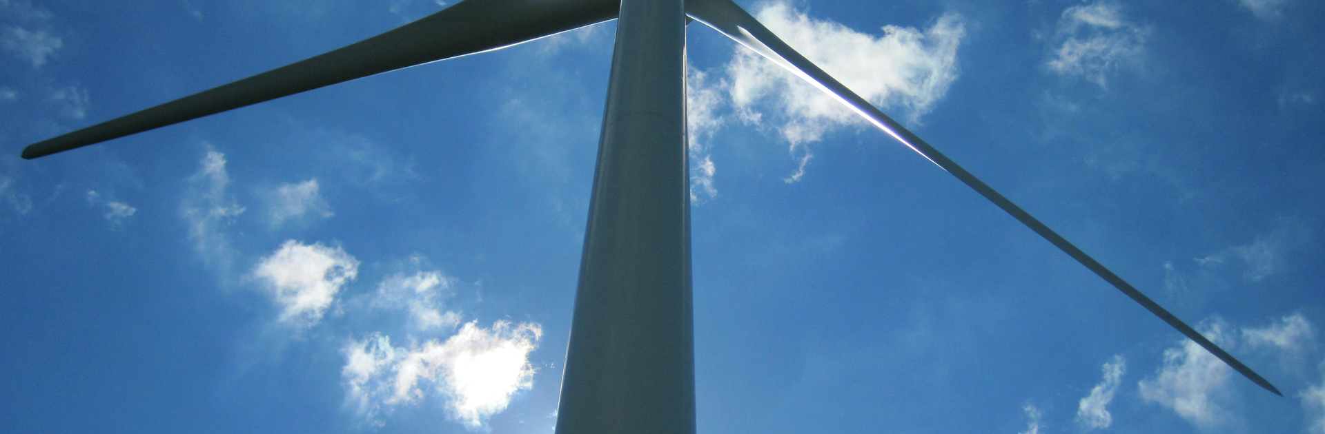 Research | University of Maryland Center for Environmental Science