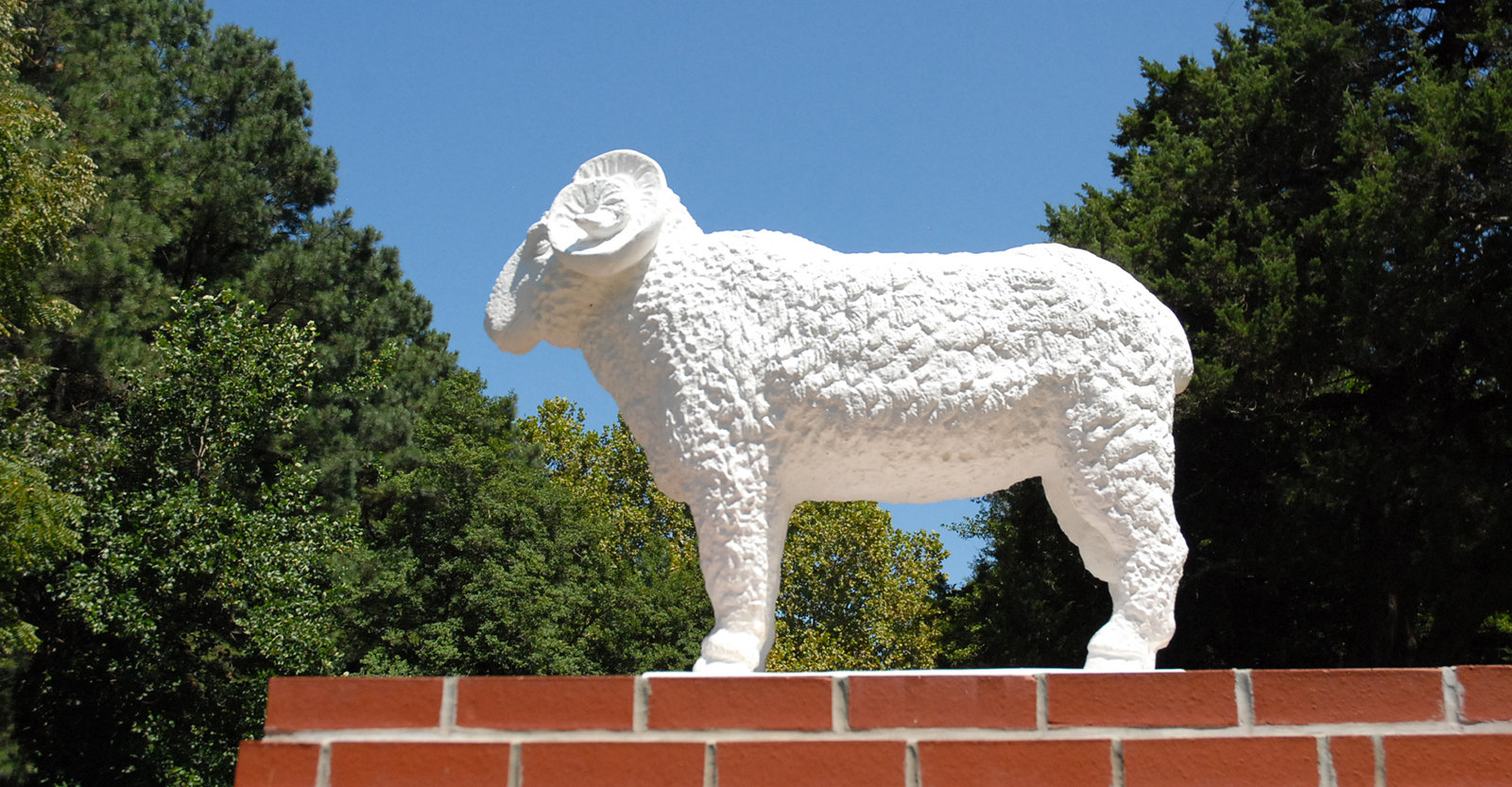 Don Pedro - University of Maryland Center for Environmental Science